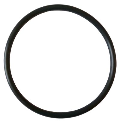 112147 | O-Ring | PROMT Parts